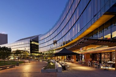 Services - WED Group