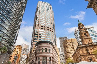 Services - WED Group