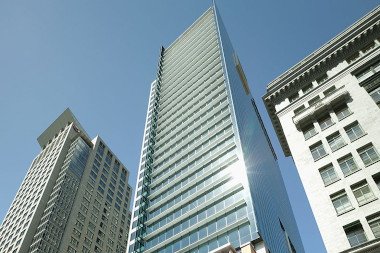 Services - WED Group