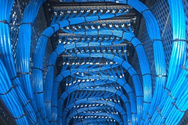 Services - WED Group